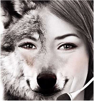 Customer Support | Steel Solutions